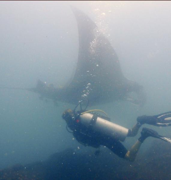 2022 PADI AWARE Grantee - Iguana Divers, Costa Rica